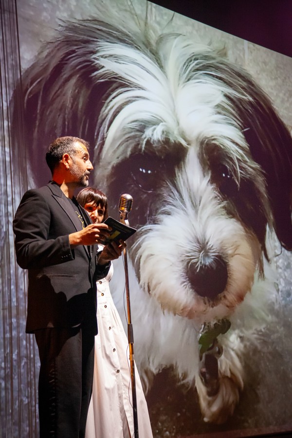 RESUMEN IV GALA PREMIOS GODOT. LA GALA ABSURDA | LOS ABSURDOS TEATRO